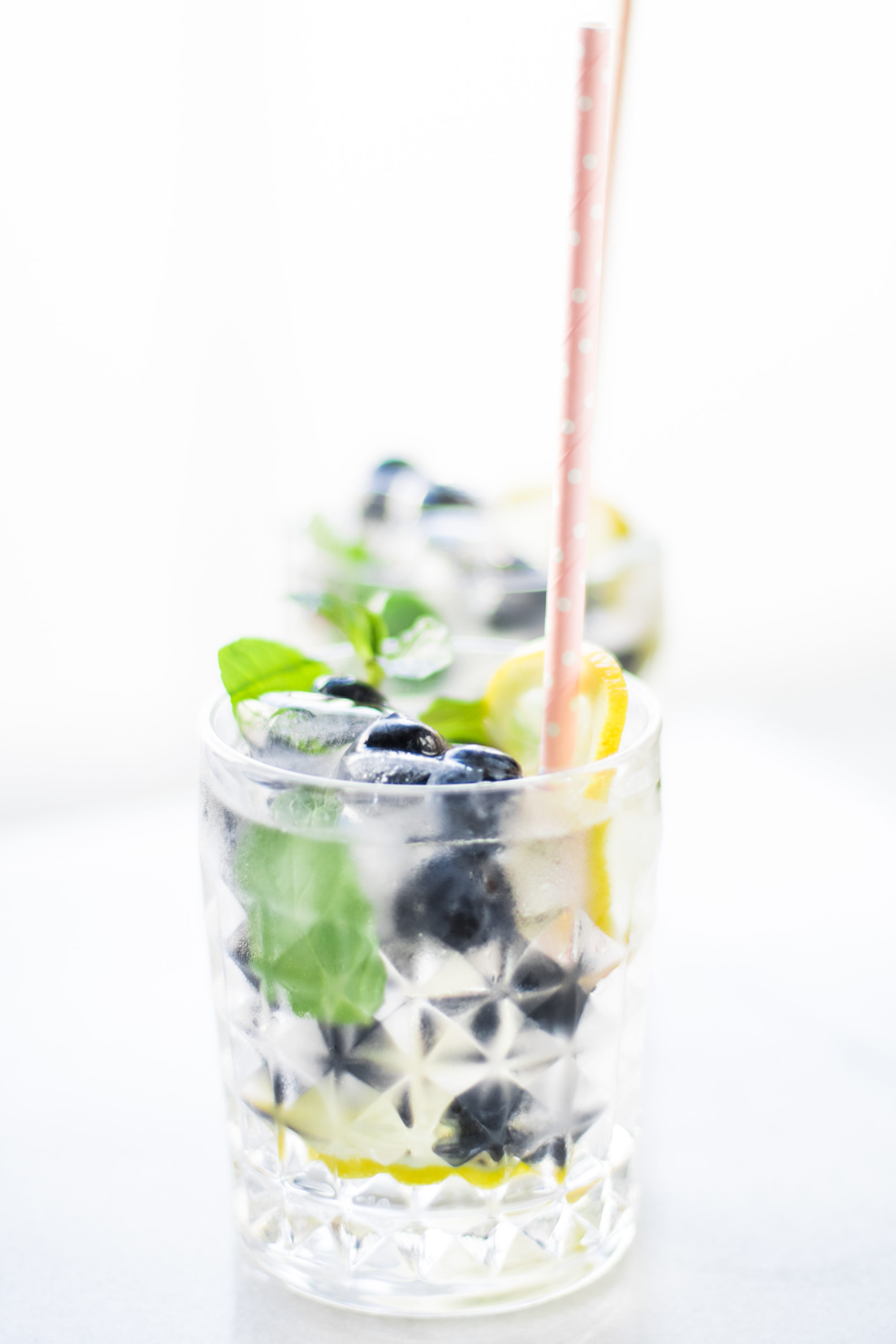 Blueberry Mint Water - YMCA of Central Florida